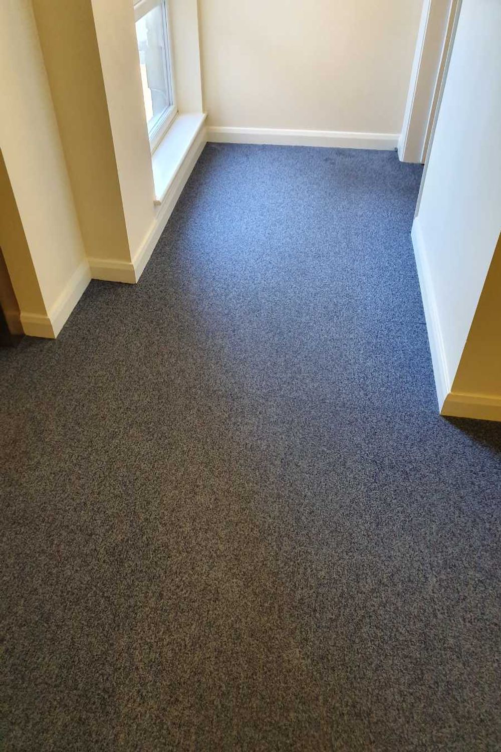 Carpets and Windows – Cleaning All