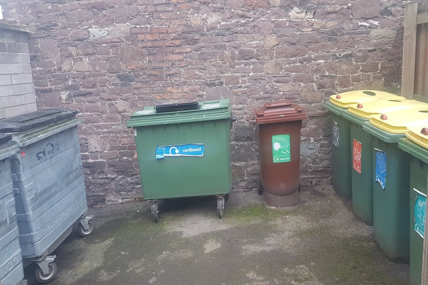 Gallery – Cleaning All